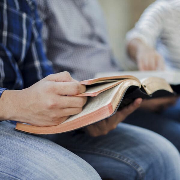 Come, Lord Jesus! – A Bible Study And So Much More!